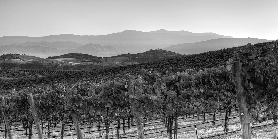 Our History - Chalone