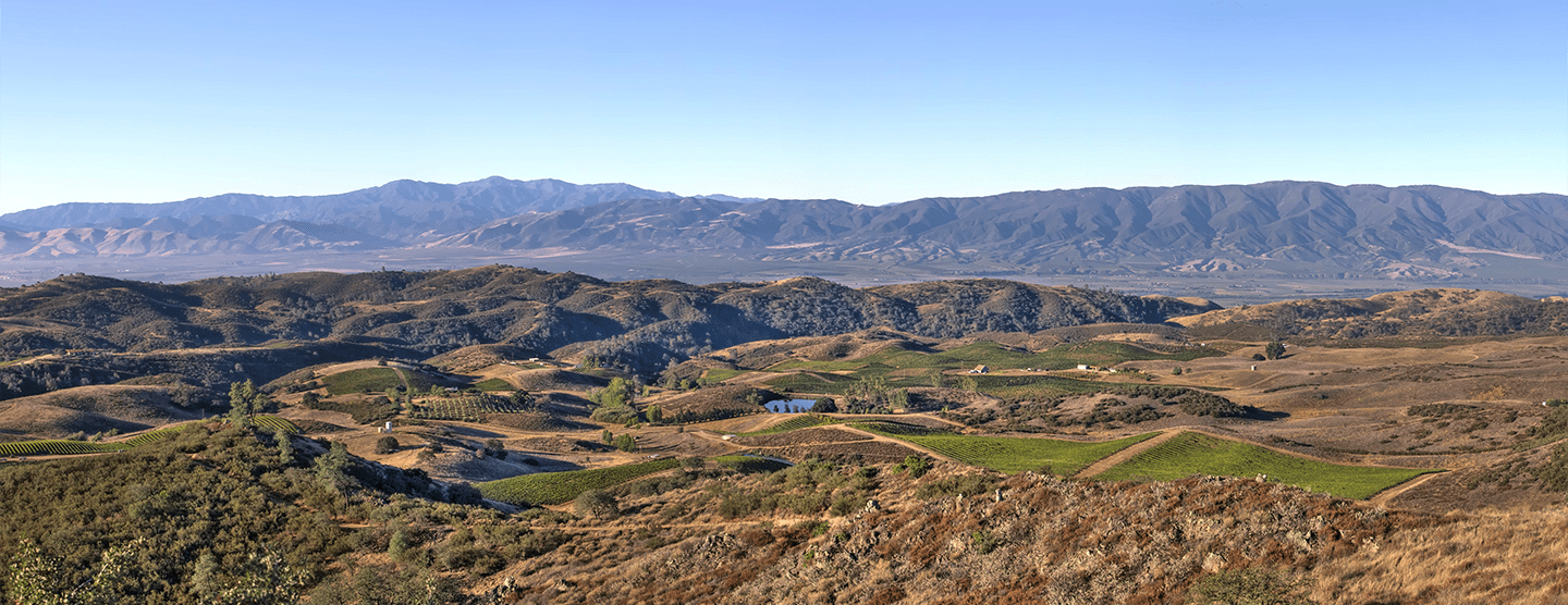 About Chalone - Chalone