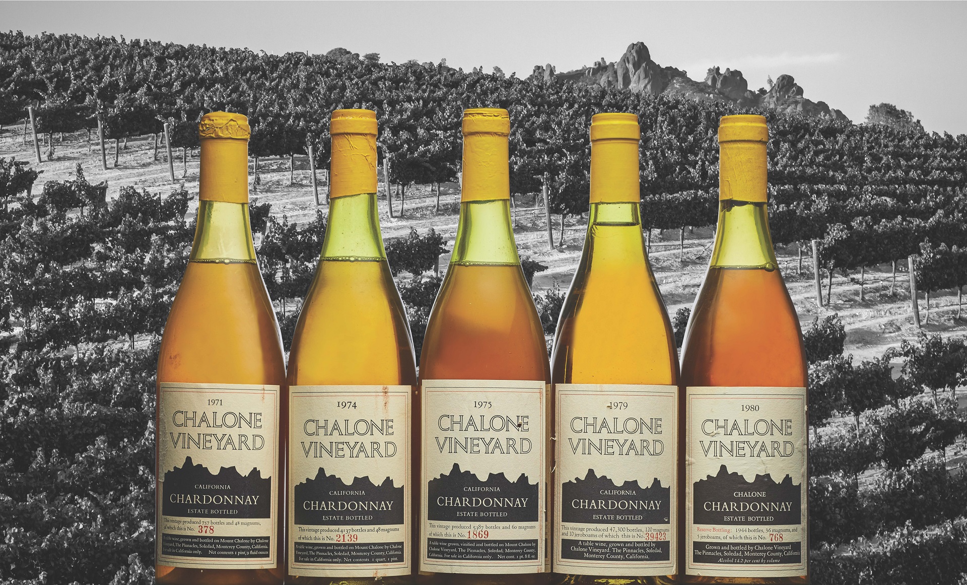 Chalone - The oldest producing vineyard in Monterey County